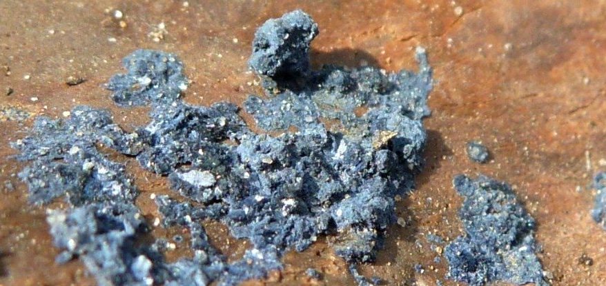 This Strange Mineral Grows On Dead Bodies And Turns Them Blue this-strange-mineral-grows-on-dead-bodies-and-turns-them-blue