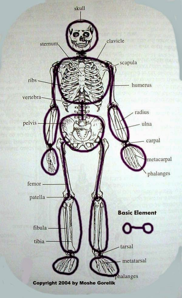 ISAI The Martial Art of Formless Flow: Golden Ratio and its hidden meaning