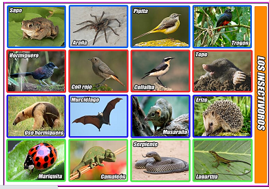 LOS ANIMALES INSECTÍVOROS