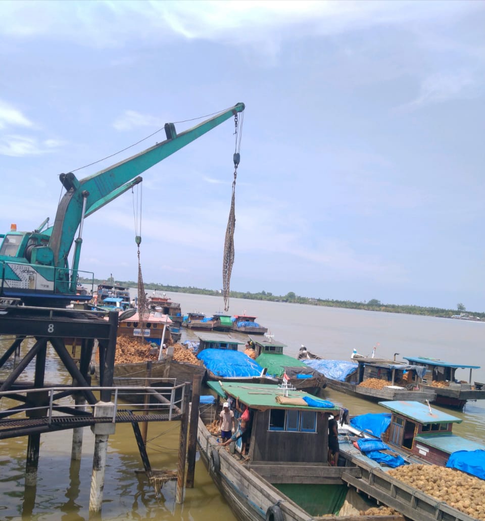 Sambu Group Tegaskan Tetap Terima Kelapa