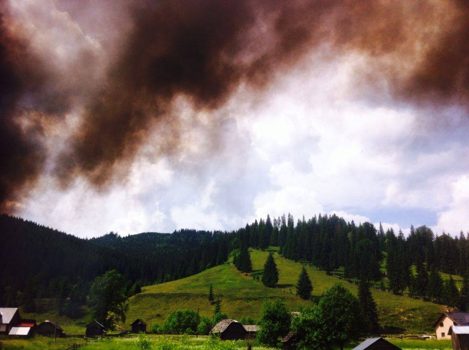 Cercul de informatica: Concursul regional ”Codrule, codrutule”, ed. a ...