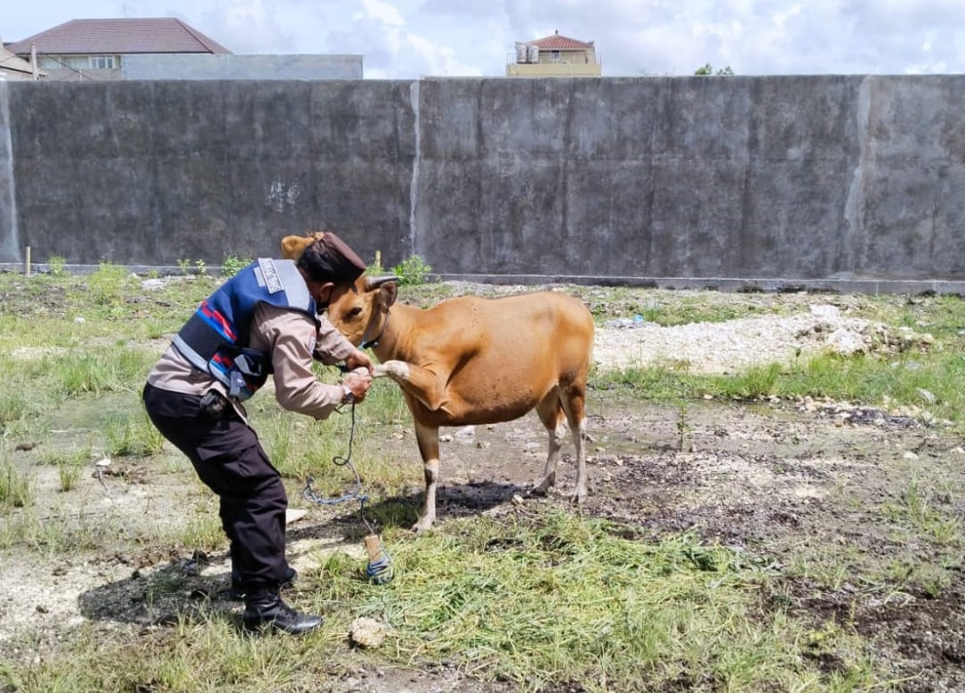 SUARANEGERI.COM | SUARA ASPIRASI RAKYAT