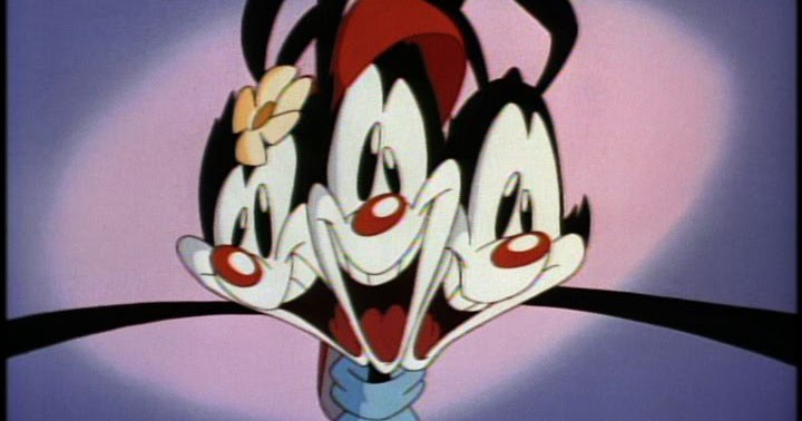 Joe Torcivia's The Issue At Hand Blog: Animaniacs Volume 4: Update # 1 ...