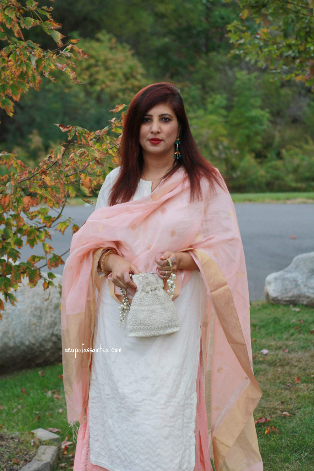 Indian festive look #3