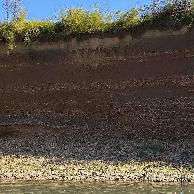 Onde as Plantas Crescem - Neossolos