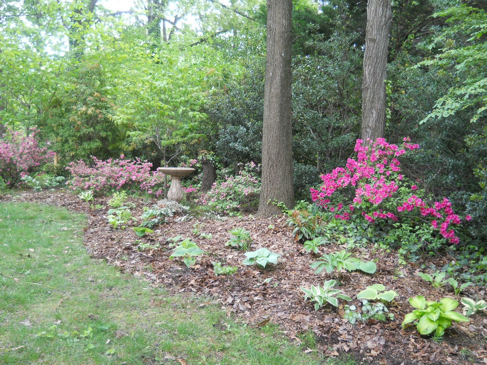 Sweet Garden Escapes: The Hosta Border