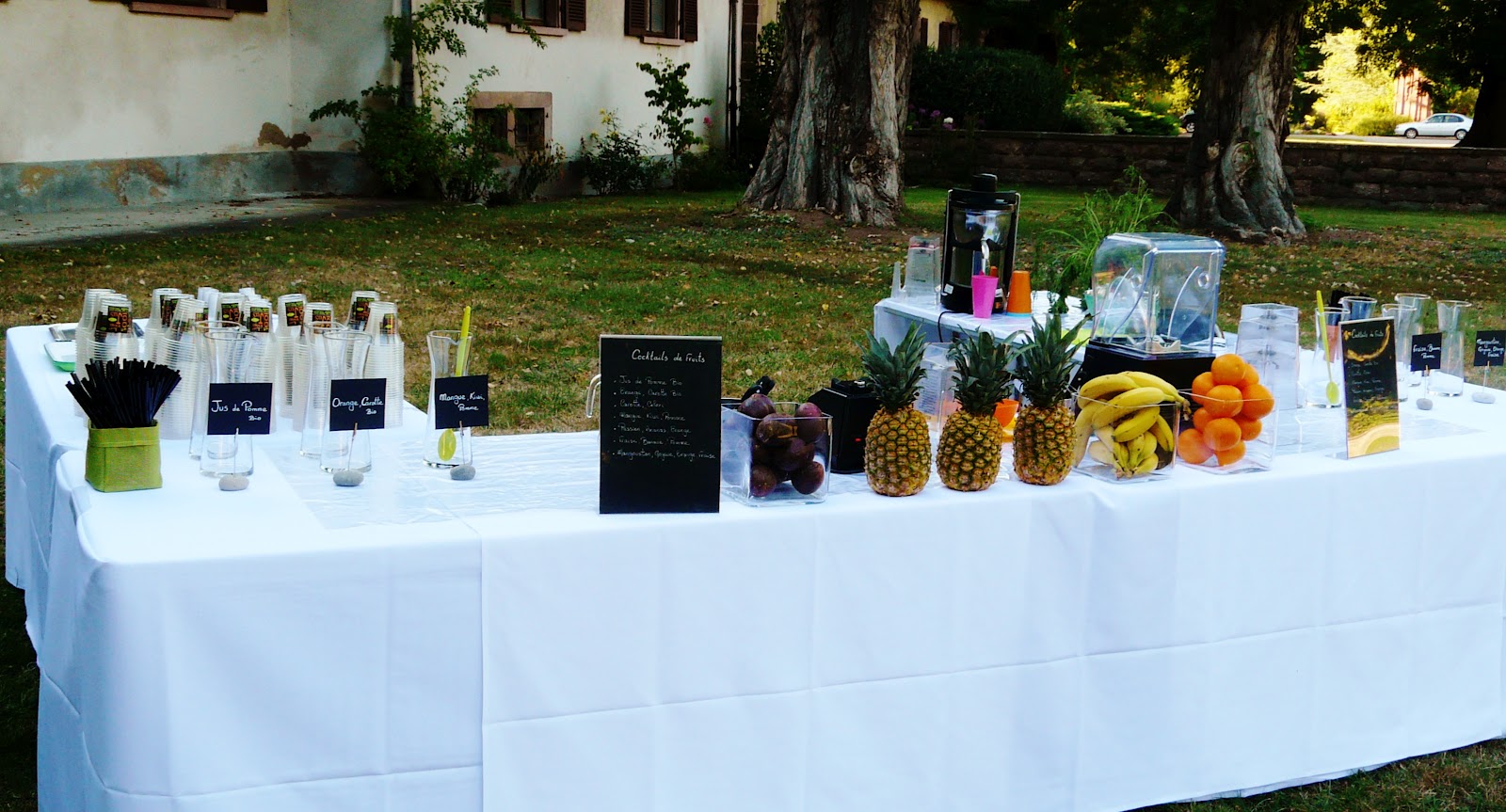 Idées pour un Mariage Tendance . . . 100% Le BaR à JuS: Animation mariage