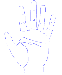 Break On head Line In Palmistry | INDIAN PALM READING - ASTROLOGY