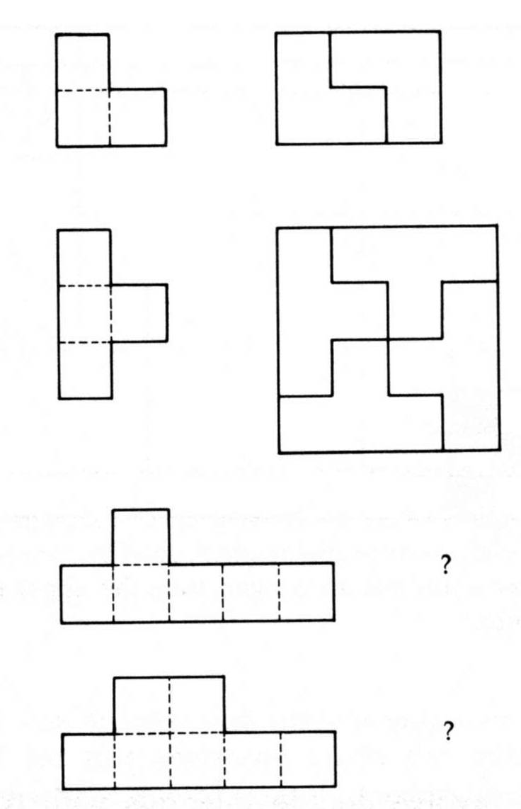 The Mathematical Tourist: Tiling with Polyominoes