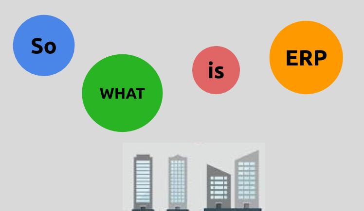 Understanding the ERP system