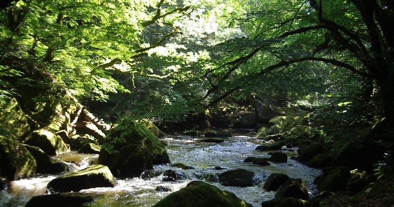 French Vocabulary Illustrated: aval