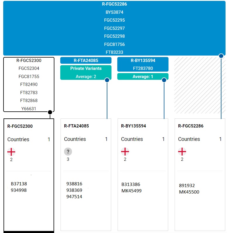 Ackley Family Genealogy: Update on Ackley Surname Project Y-DNA Testing