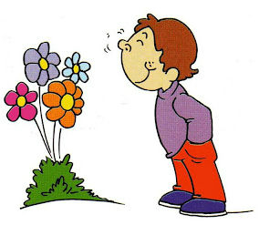 LOS SENTIDOS: El olfato