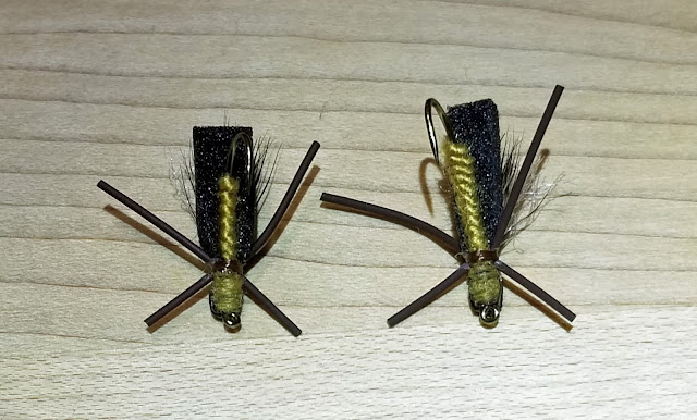 Jon Baiocchi Fly Fishing News: The Skwala Stonefly ~ Identification, Behavior, Fly Patterns, and ...