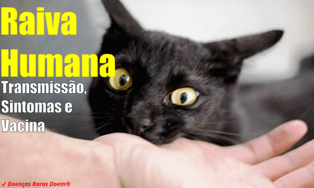 Doenças Raras Doem®: Raiva Humana – Transmissão, Sintomas e Vacina