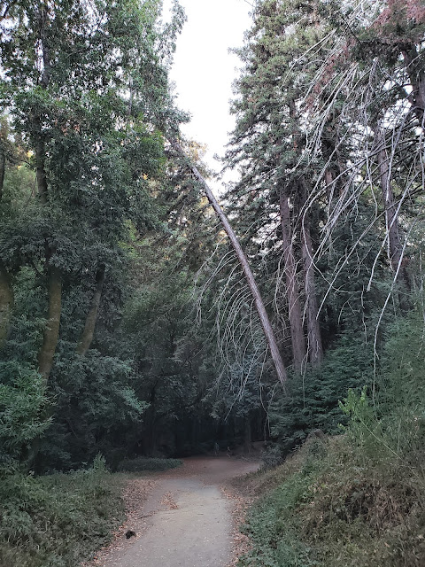 Wunderlich County Park