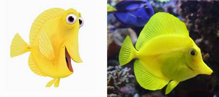 Yellow finding nemo fish - saycn