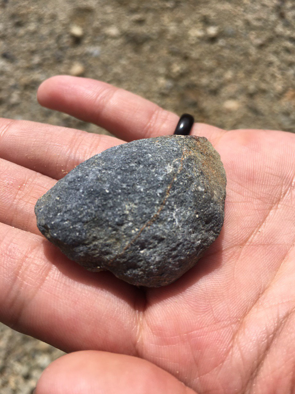 LOMBONG MAMUT: LOMBONG MAMUT