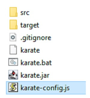 Getting started with karate-config.js