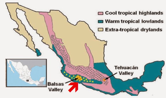 NephiCode: Rise of Civilization in Peru—Maize (Corn)