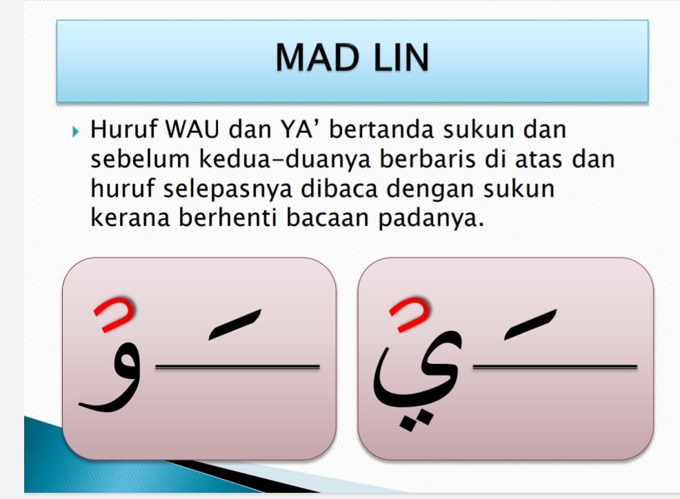 Hidup Matiku: Mad Lin