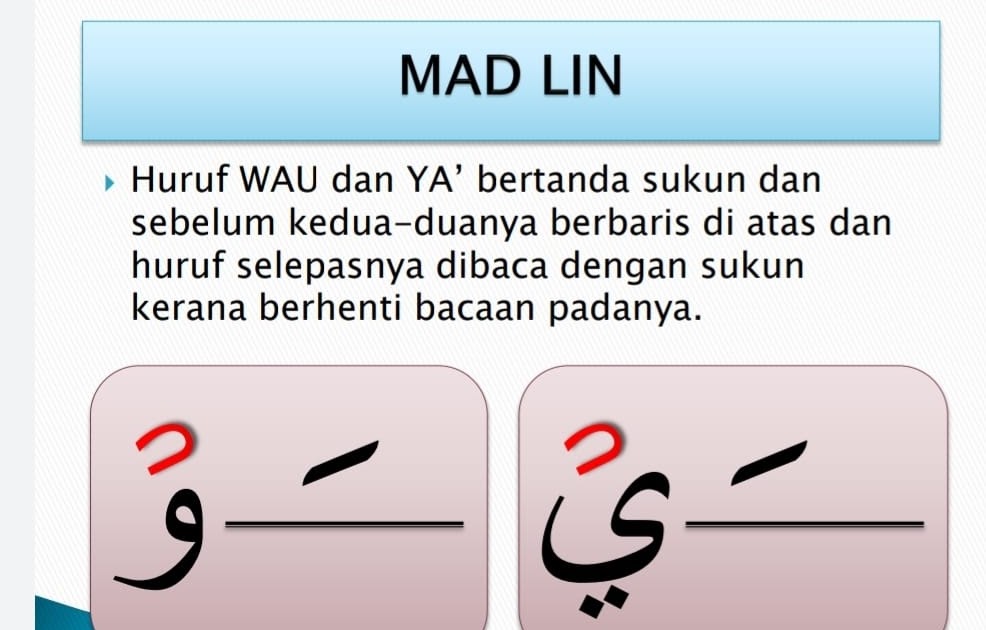 Hidup Matiku: Mad Lin