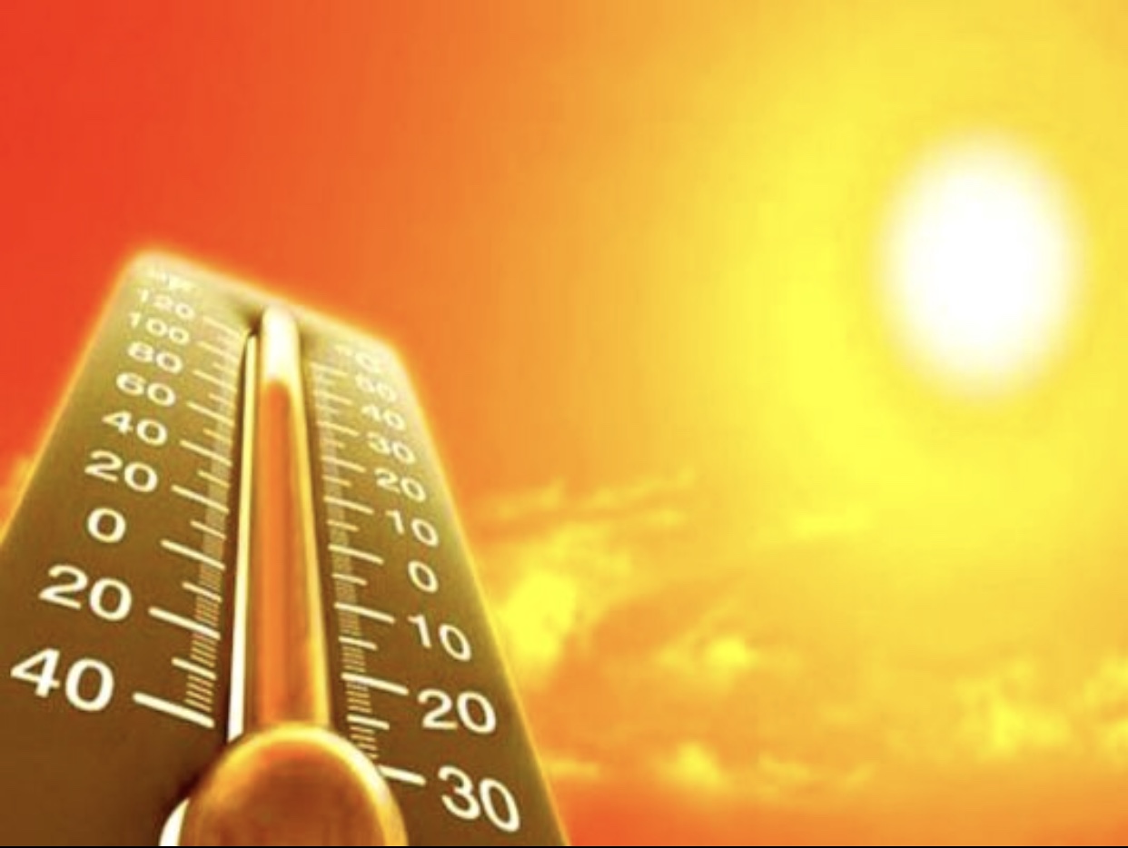 Senior Care Blog: Staying Cool During the Heat Wave Is So Important