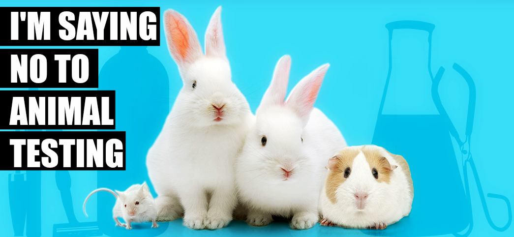 Animals Saying Stop It