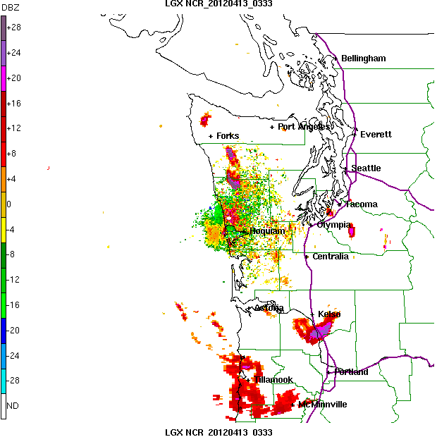 Mass Wildlife Migratory Bird - Animal Wildlife