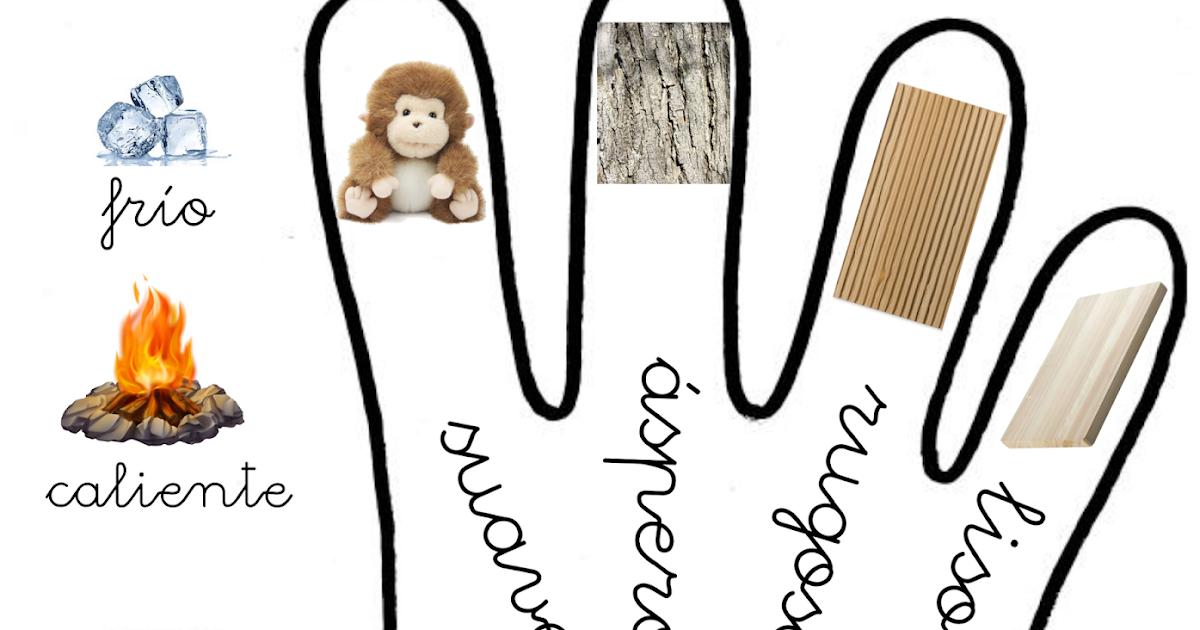 ¿Qué puedo hacer hoy?: Los cinco sentidos: El TACTO