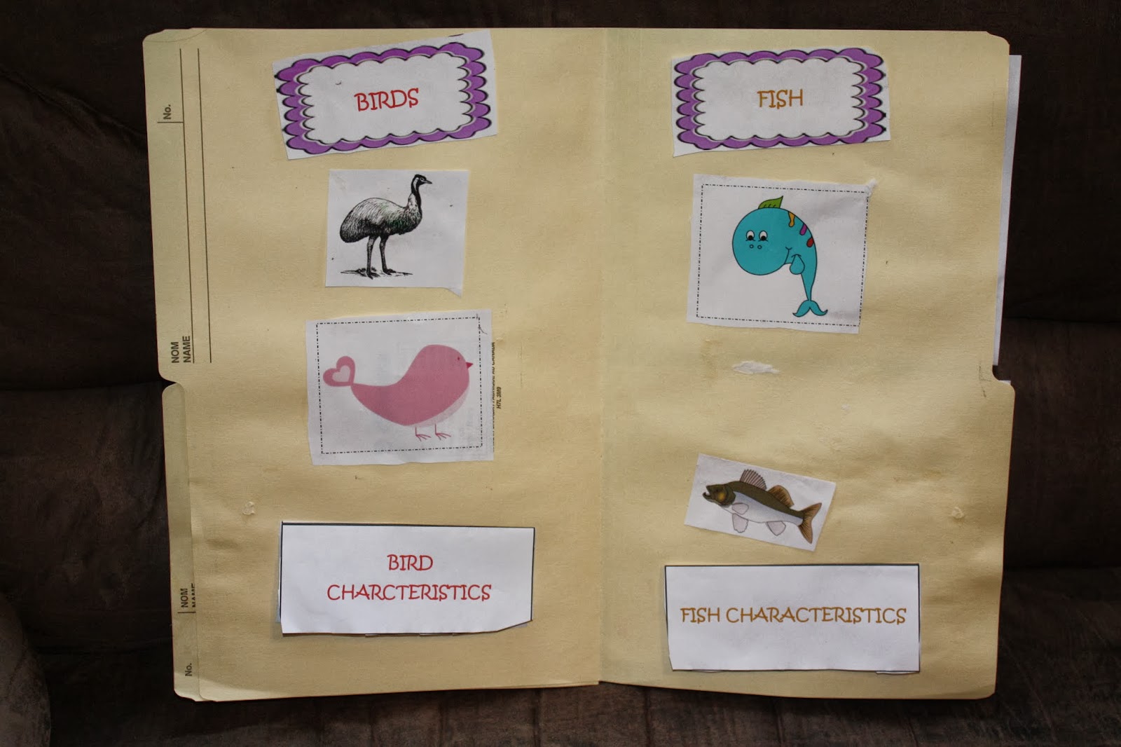 Annie's Adventures In Homeschooling!: Animal Classification/Notebooking ...