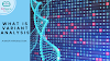 What is Variant Analysis and types of Variant Analysis? A Brief ...