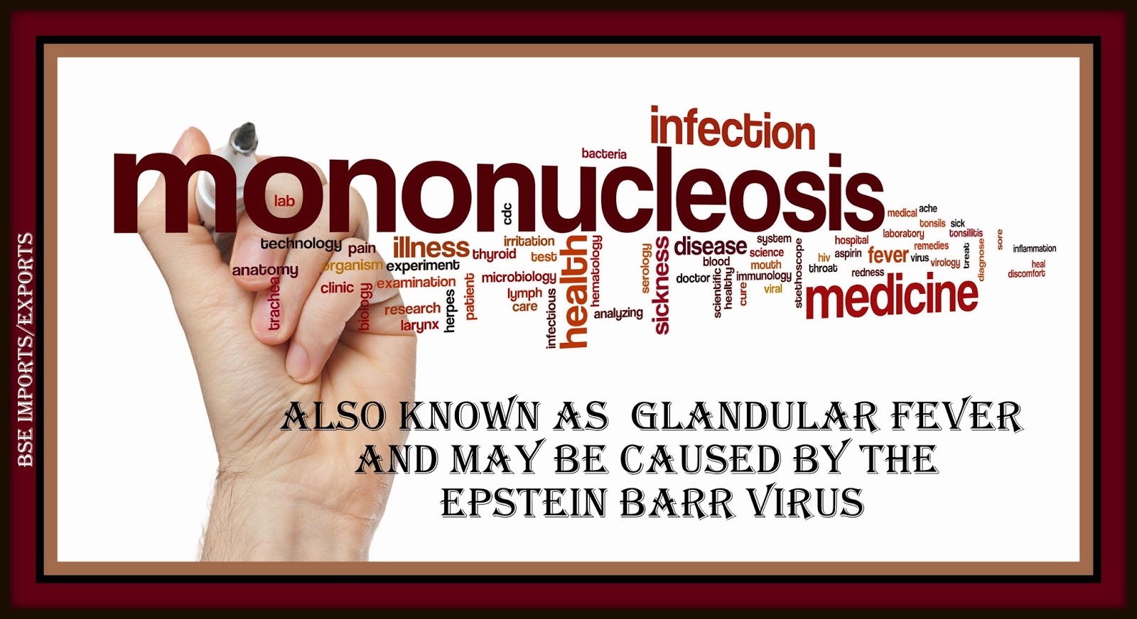 A Guide to a Healthier Life: How is Mono Diagonsed?