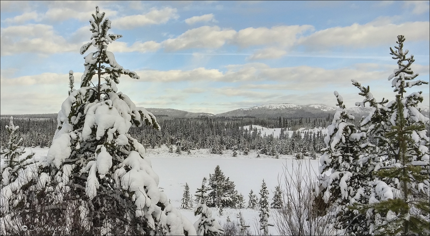 Northern Interior British Columbia: Winter's Snowfall 4 In Houston ...