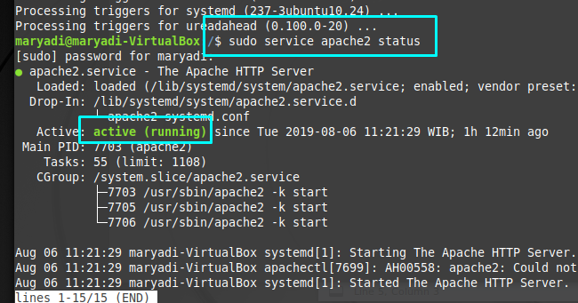 Dimensi TutupBotol: Melihat Status Service Apache2 di Linux