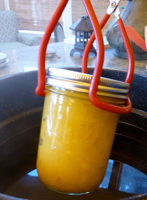 Foods For Long Life: How To Make And Can Sugar-Free Applesauce