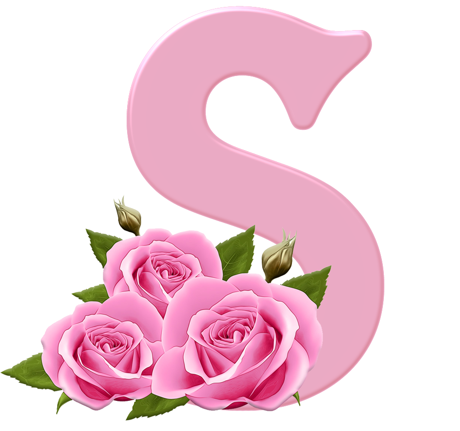 Sussurro de Amor: Alfabeto Rosas cor de Rosa 2