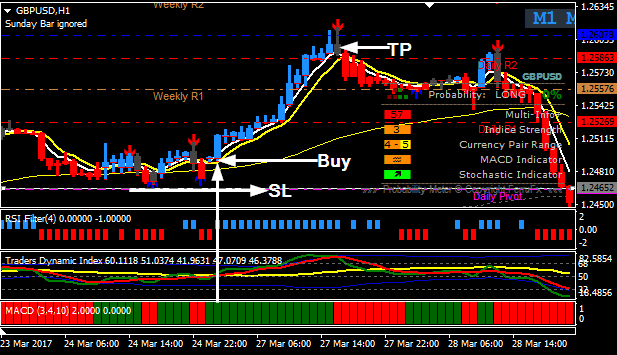 Forex King Trading System - Tentang Forex dan Ekonomi