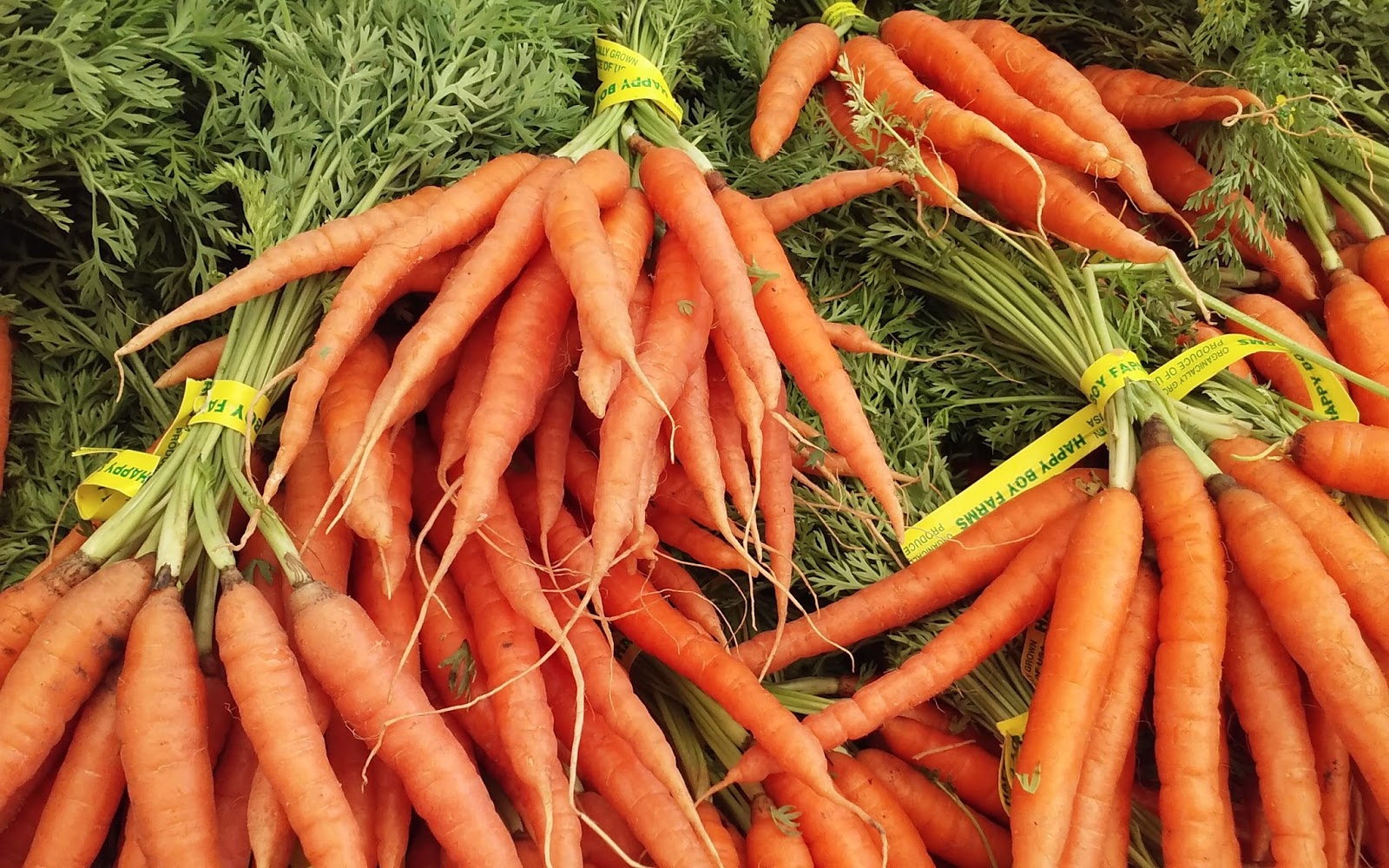 Poetic Popcorn Poetry Veggies Poetic Popcorn Poetry Veggies