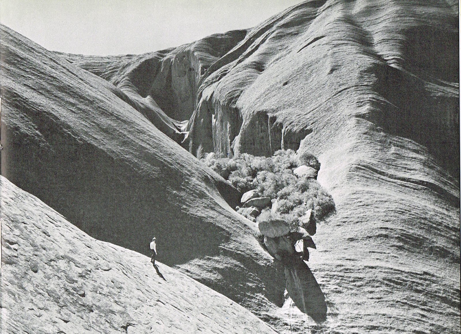 Climbing Tales #12 Norman Camps Via Maggie Springs