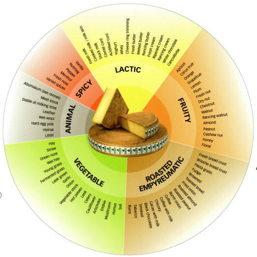 The Americaine: CHEESE TUESDAY: CLOS DE JOSSE