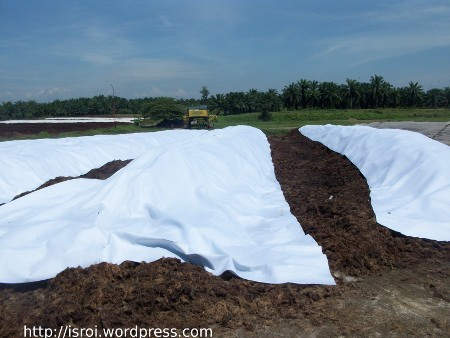 TANDAN KOSONG KELAPA SAWIT SEBAGAI PUPUK ORGANIK ~ Industri Sawit