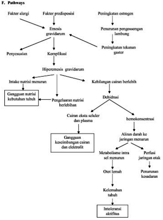 NURSE (Nonstop, Unsatisfied, Responsive, Skilled, Empathy): PATHWAY ...
