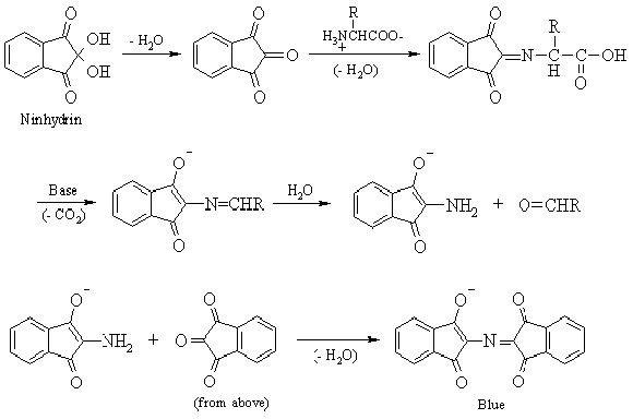 Chemistry Laboratory: Ninhydrin Test Key words Ruhemann's purple ,proline