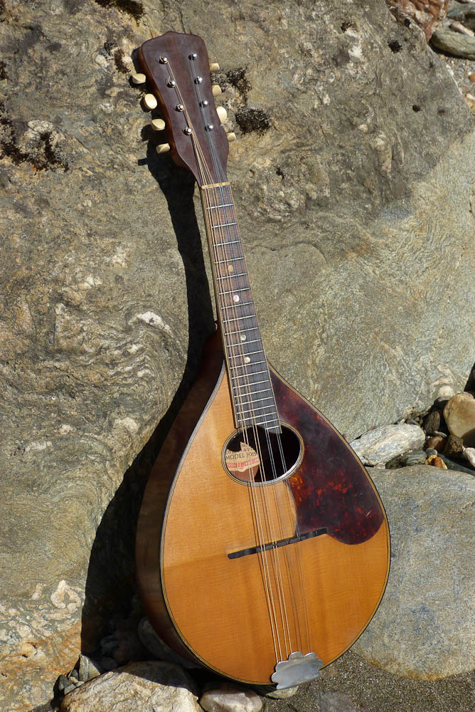 c.1920 Washburn Style 2424 Flatback Mandolin
