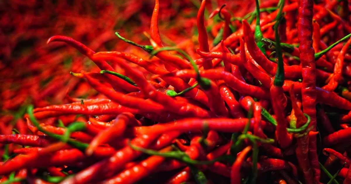 King of Peppers - Rei das Pimentas: PIMENTAS e TEMPEROS