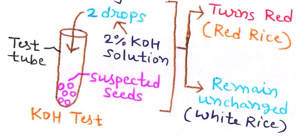 Varietal Identification through Grow Out Test and Electrophoresis ...
