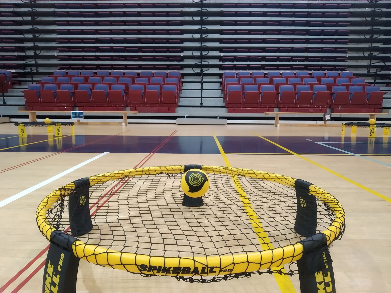 5th Grade Sport Ed Seasons