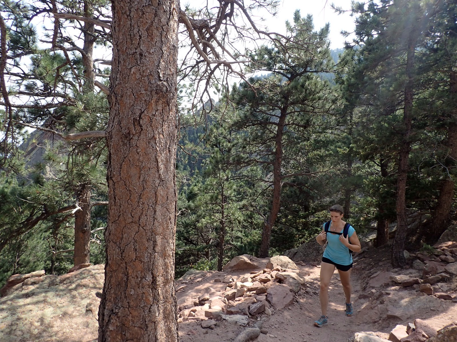 how-to-pick-the-perfect-day-hike-for-you