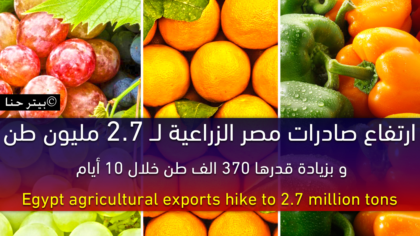 ارتفاع صادرات مصر الزراعية لــ 2 7 مليون طن و بزيادة قدرها 370 الف طن